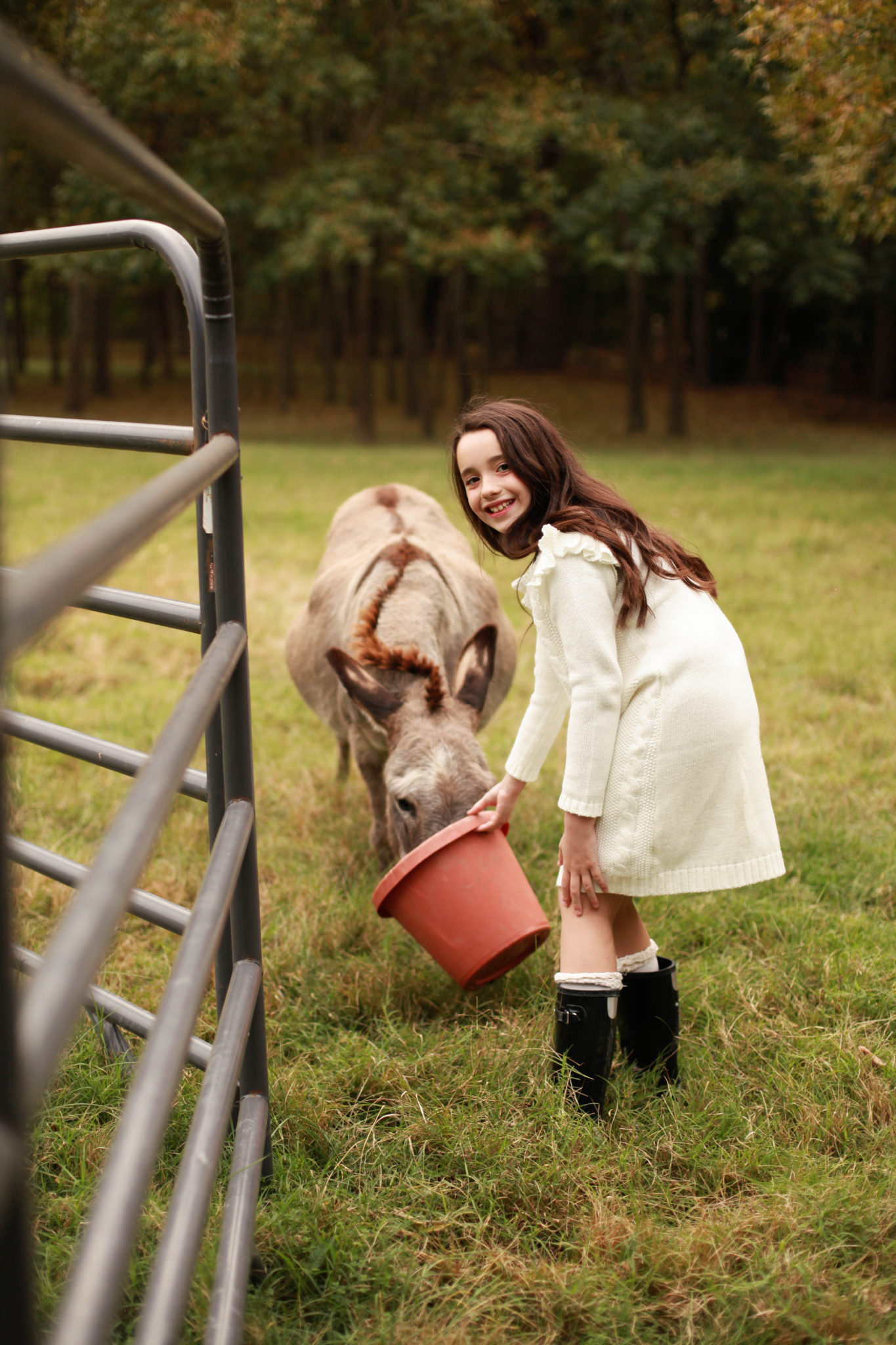 FARMHOUSE TOUR: BARN & Animals - House of Hargrove